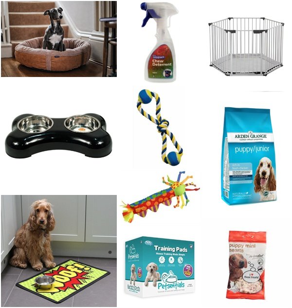 Essential Shopping List For Bringing Home A New Puppy Essential Shopping List For Bringing Home A New Puppy